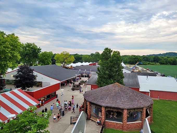 An aerial view reveals the park's layout nestled among trees, showing how nature and thrills coexist beautifully here.