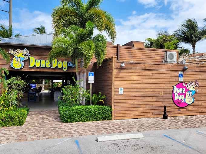 Dune Dog Cafe's tropical entrance promises casual waterfront dining where flip-flops are formal wear and nobody's judging your vacation appetite.
