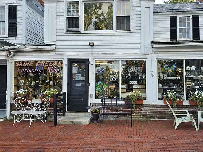 Sadie Green's storefront beckons treasure hunters with promises of curiosities you never knew you desperately needed.