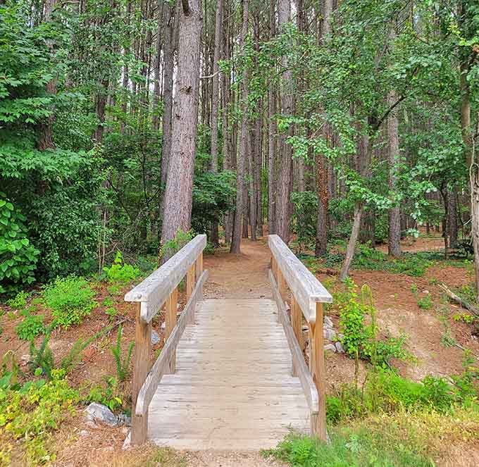 Wooden bridges leading deeper into nature, like Narnia but with better weather and no talking lions.