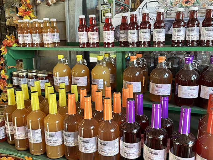 Apple and peach ciders lined up like liquid sunshine in bottles, ready for your immediate consumption.