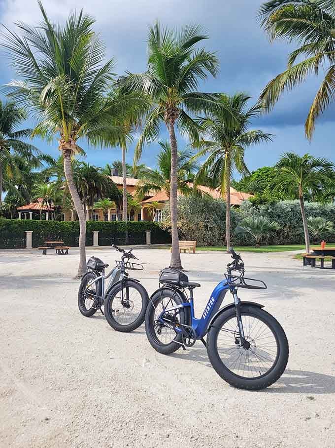 Beach cruisers parked under palms&mdash;because sometimes the best way to explore paradise is on two wheels.