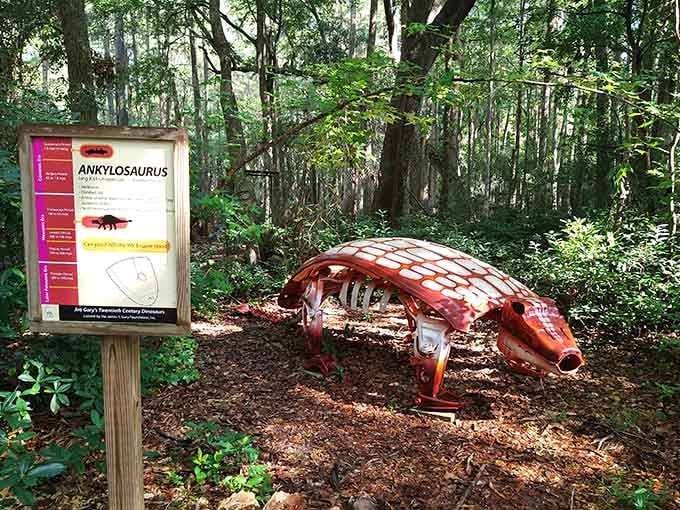 The ankylosaurus looks ready to defend itself against predators that haven't existed for millions of years.