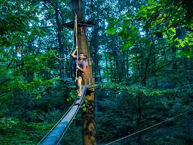 Daytime adventures have their charm, but nothing compares to conquering obstacles while surrounded by nature's peaceful embrace.