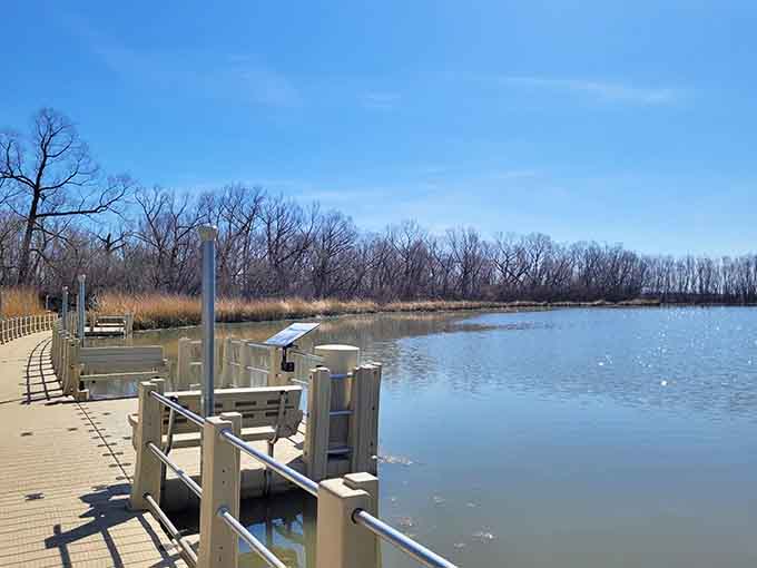 Winter reveals the lake's bones, offering crystal-clear water views usually hidden by summer's lush growth.
