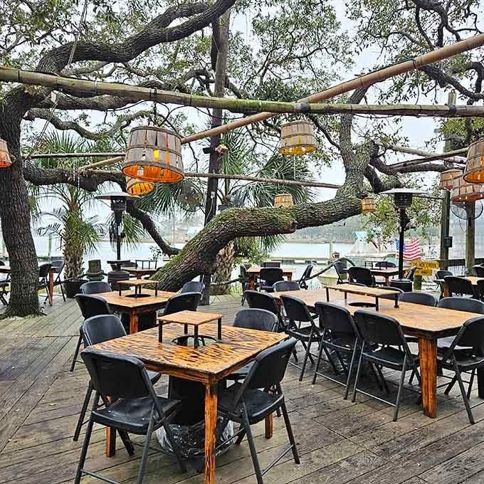 Live oaks providing shade while you crack shells is nature's way of saying you're doing it right.