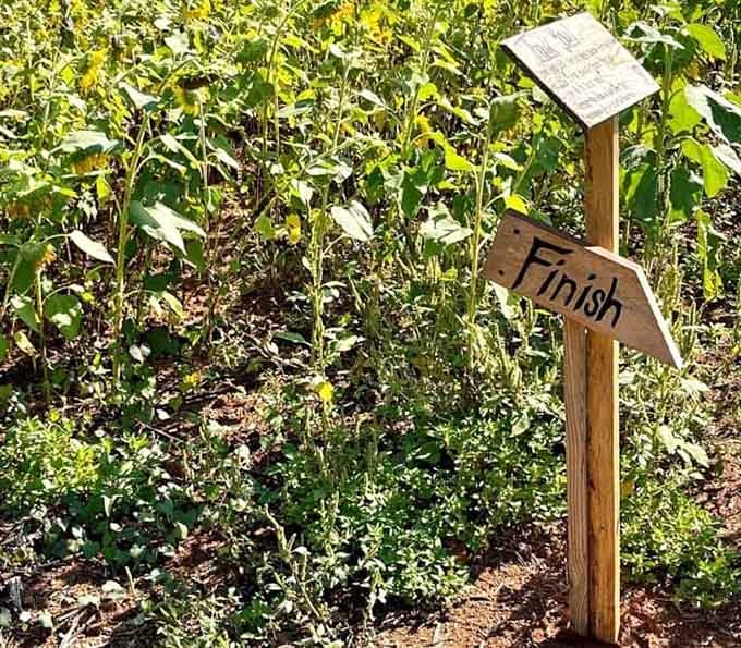 The finish marker signals victory over the maze, though honestly, wandering aimlessly through flowers hardly feels like a challenge to overcome.