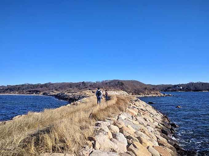 Fellow adventurers walk the causeway, drawn by the same irresistible pull toward that tree-topped island ahead there.