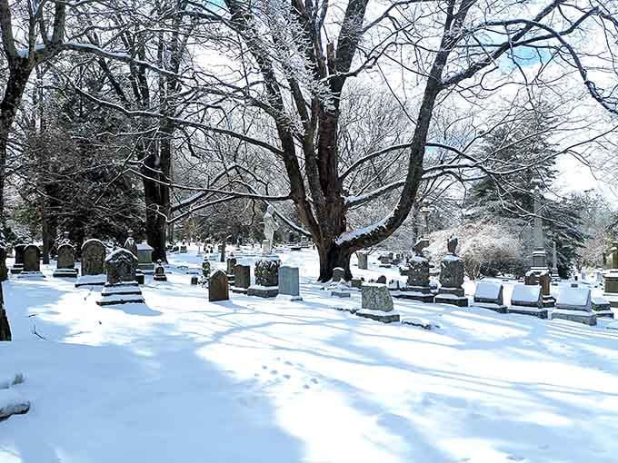 Winter's quiet blanket transforms the landscape into something serene, peaceful, and unexpectedly beautiful to explore.