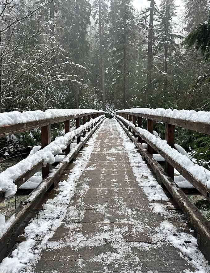 Winter transforms the bridges into something from a snow globe, minus the shaking and the tiny plastic figurines inside.