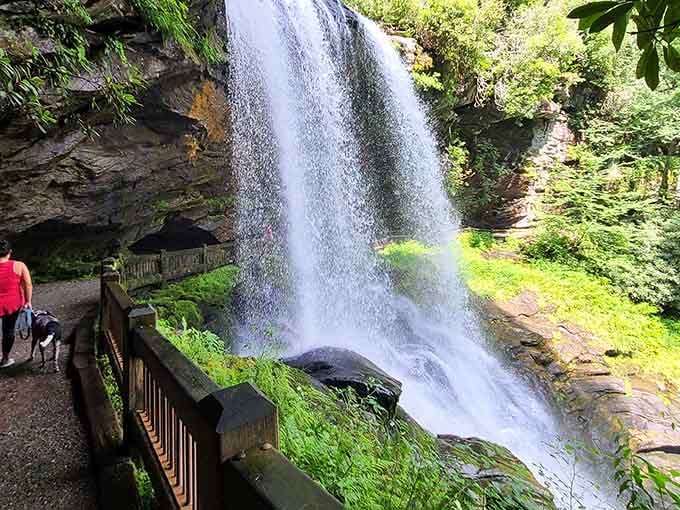 When the waterfall photobombs your scenic overlook and somehow makes the whole picture infinitely better than planned.