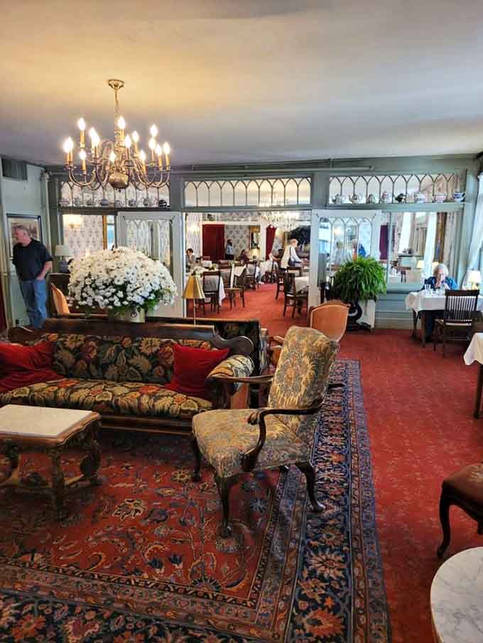 The lobby feels like stepping into your wealthy aunt's elegant home, if she had impeccable taste and a hospitality degree.