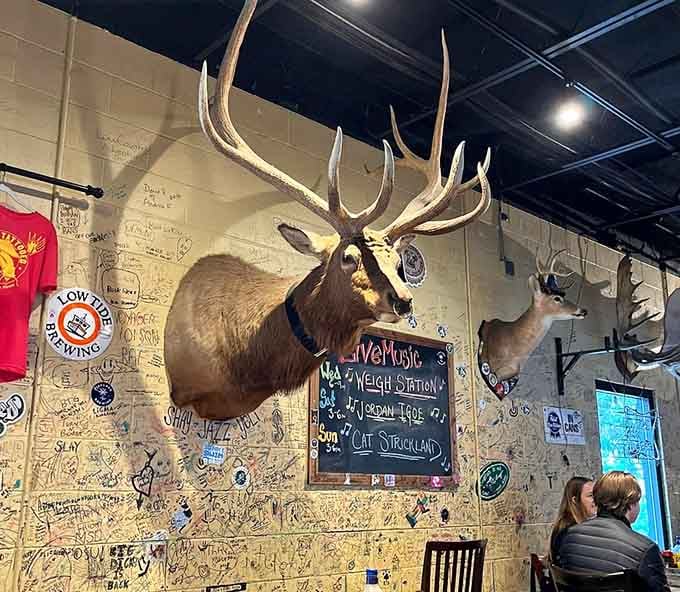 Wall-to-wall personality, where every mounted head and scribbled signature tells a story worth hearing over lunch.