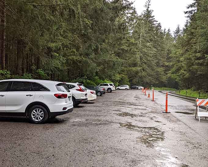 The parking lot fills up for good reason: what lies beyond is absolutely worth the drive.