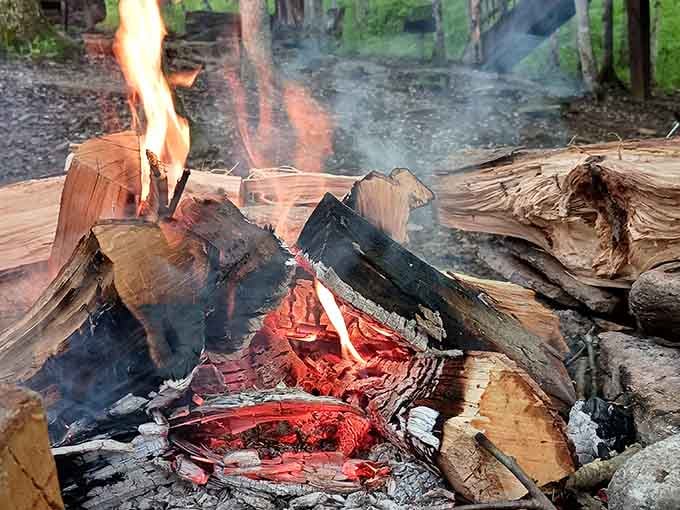 A proper campfire setup lets you roast marshmallows while your treehouse waits patiently above, like a patient parent.