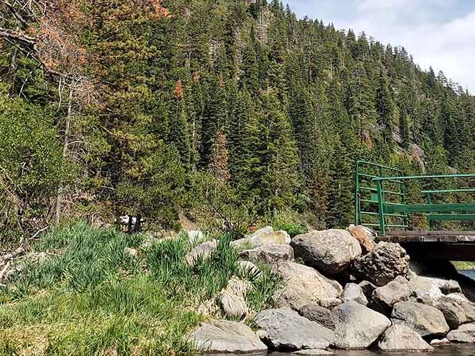 Mountain views frame every bend in the river, reminding you why California's high country is legendary.