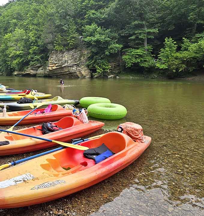 Colorful kayaks line the shore like a rainbow of adventure waiting to happen on Sugar Creek's gentle current.