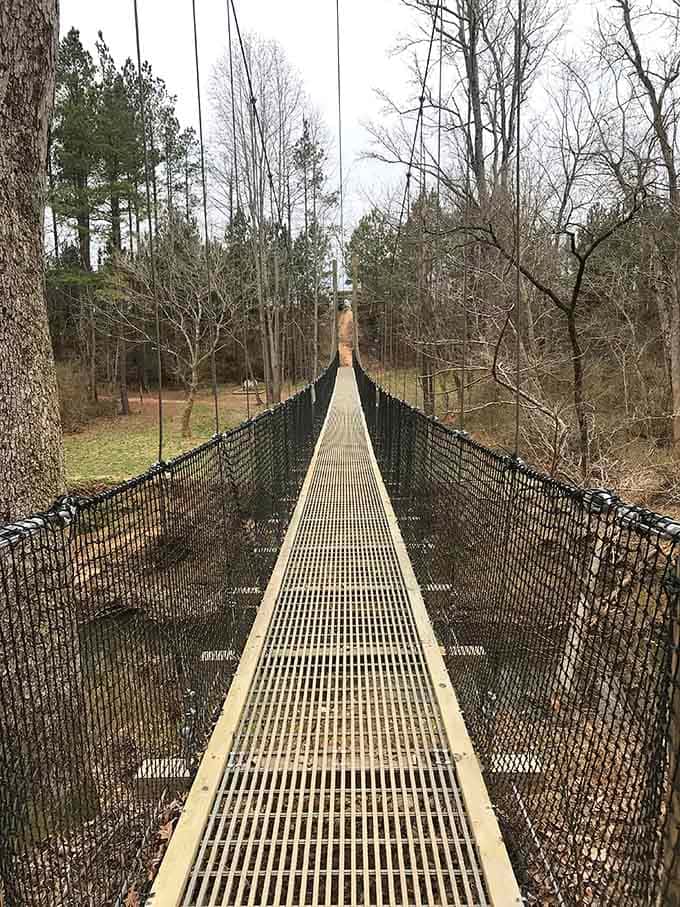 The perspective from this end makes you appreciate just how far you're about to walk above solid ground.