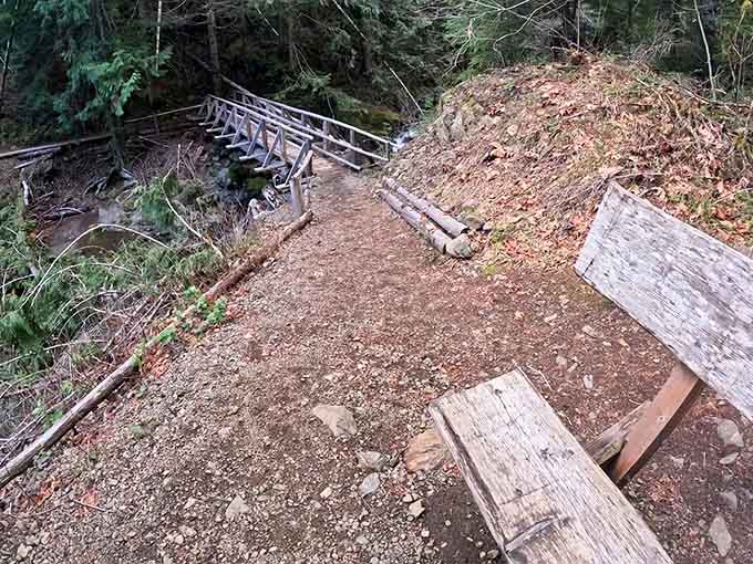 Trail maintenance crews built these resting spots for "enjoying the view," which is code for "catching your breath without admitting it."