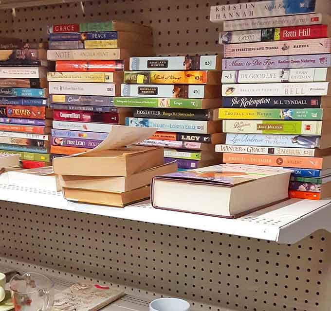 Books stacked like literary Jenga, each spine promising an escape to worlds before smartphones demanded our attention.