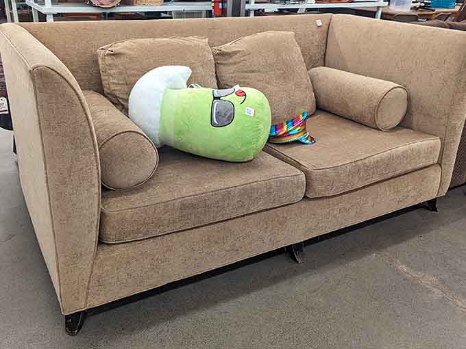 Even the furniture comes with character, like this couch that's clearly already made friends with a cheerful companion.