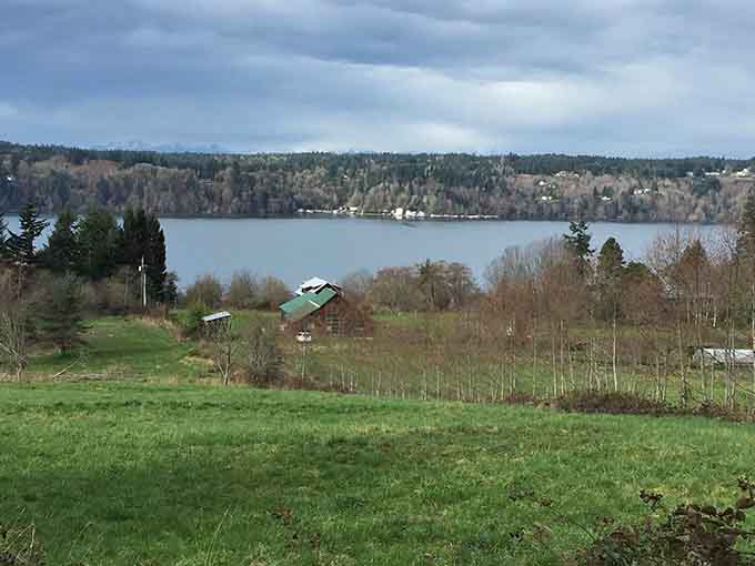 Rolling farmland meets waterfront views, proving the island's agricultural roots run as deep as its natural beauty.