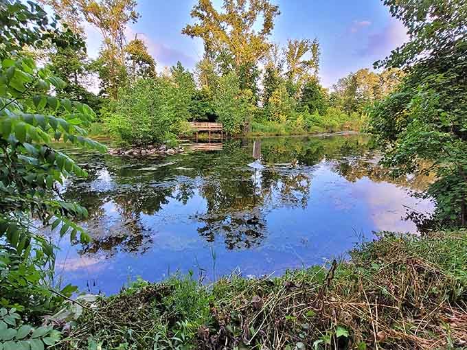 The peaceful fishing pond offers a serene contrast to playground chaos, perfect for contemplative moments between dinosaur slide runs.