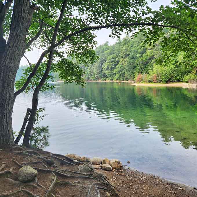 Crystal-clear water and tree reflections create the kind of postcard scene that makes you forget your phone exists.