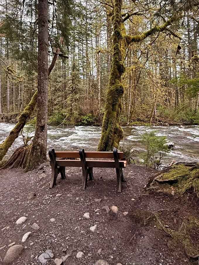 A riverside bench offers the perfect spot to rest, snack, and pretend you're not already thinking about the hike back.