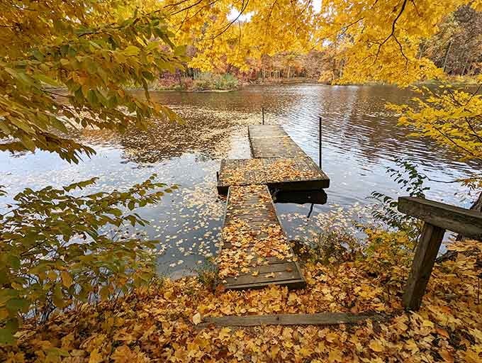 Fall leaves carpeting the dock like nature's confetti celebrating another successful season at the lake.