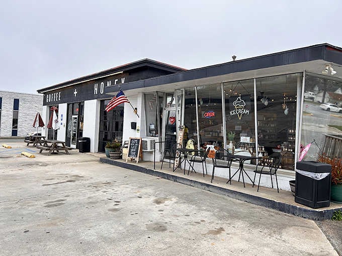 Sheffield Coffee Company offers locally-roasted brews where morning conversations solve problems Washington never could.