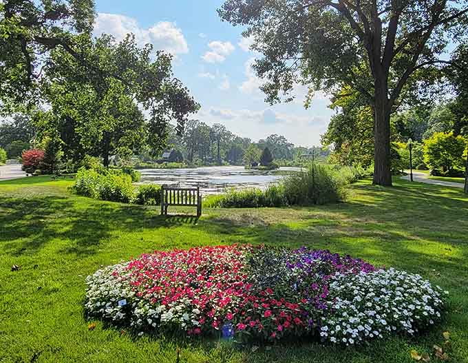 This vibrant flower bed proves that nature's palette makes even the fanciest interior designer look like an amateur.