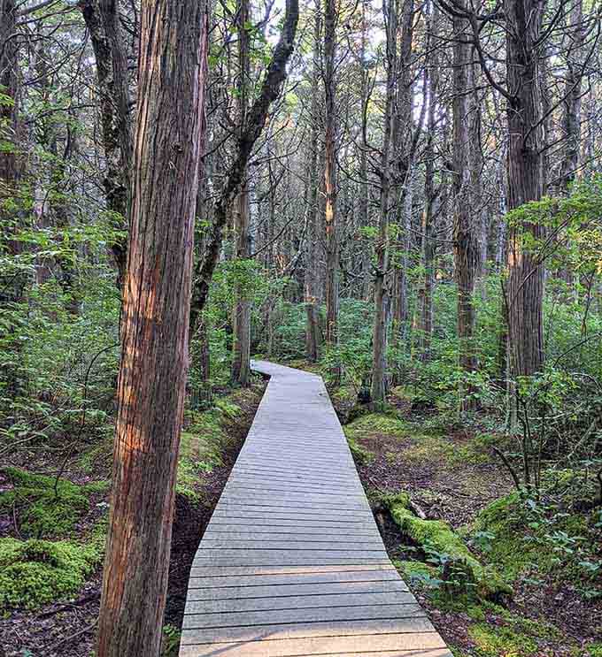 Peaceful forest trails offer shade and serenity when you need a break from all that beach time.