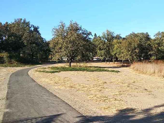 The path curves gently through oak-studded meadows, beckoning you forward like a friend's welcoming gesture.