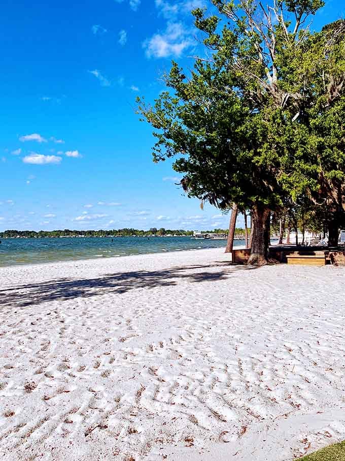 Majestic trees providing natural shade over powdery white sand create the ultimate lakeside relaxation spot.