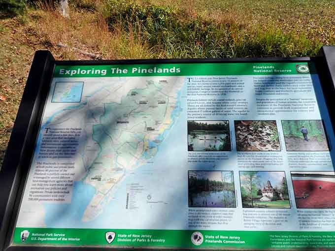 Educational markers help visitors understand the remarkable Pinelands ecosystem surrounding them on every trail and boardwalk.