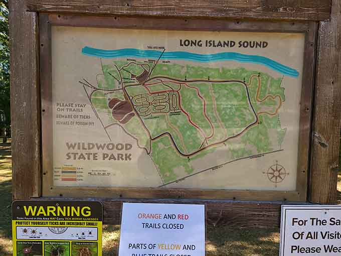 Trail maps reveal miles of paths winding through forests that make you forget you're on Long Island entirely.