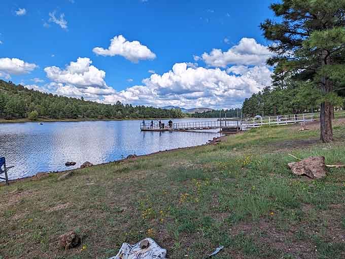 Kaibab Lake offers that peaceful mountain water view where the only decision is whether to fish or just stare.