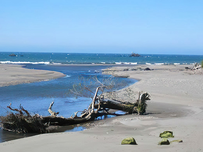 Driftwood sculptures dot the shoreline where Pacific waves meet the river in nature's perfect collaboration.