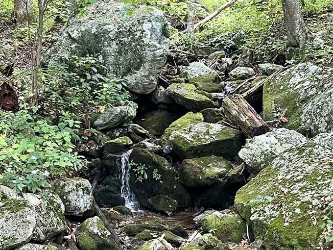 Mountain streams create their own miniature waterfalls, proving that size isn't everything in nature's playbook.
