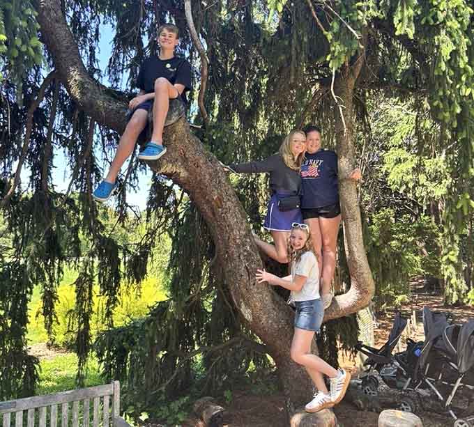 That climbable tree has probably launched a thousand childhood adventures and Instagram photos in equal measure.