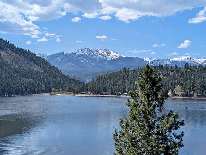 Pine-framed mountain vistas stretch endlessly, reminding you that some views are worth the drive off the beaten path.