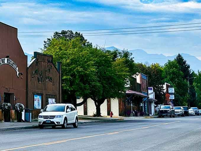That massive tree provides shade for the entire main street, standing guard like it has for probably a century.
