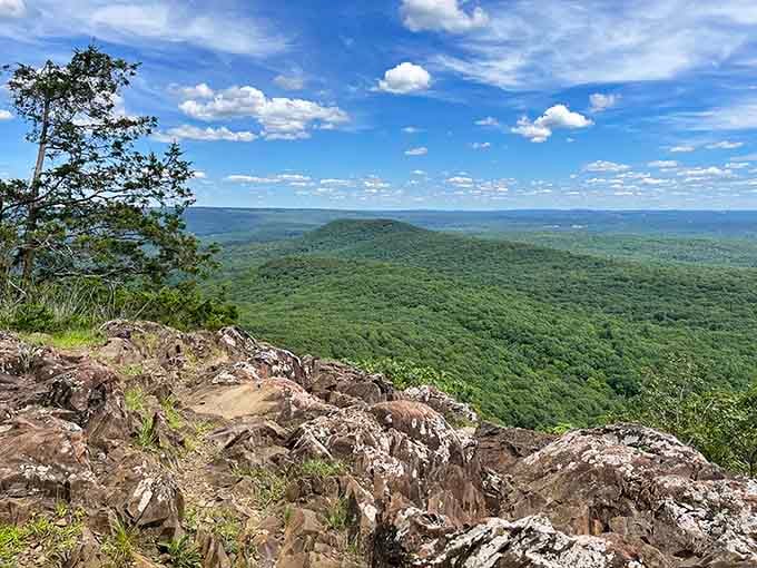 Endless forest stretches toward the horizon from this rocky perch, making you feel on top of the world.