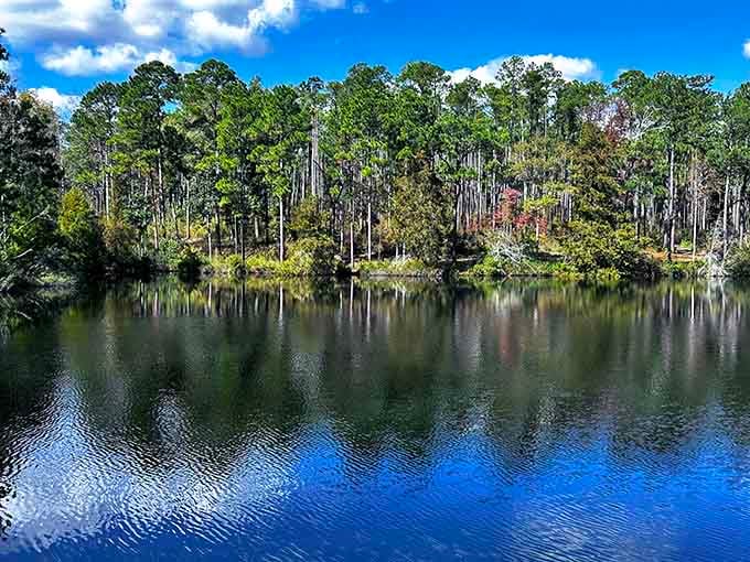 Trees mirror perfectly in still water, doubling the beauty in a scene that demands you stop and stare.
