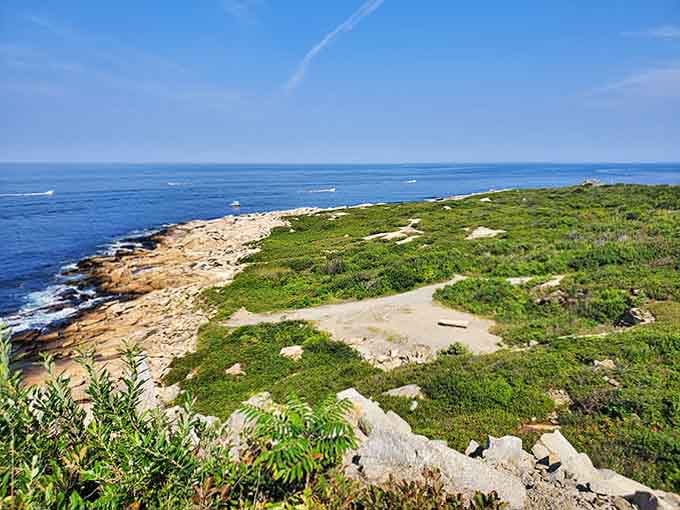Where rocky shoreline meets endless Atlantic blue, Halibut Point proves Massachusetts has a wild side too.
