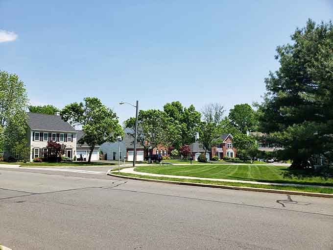Wide residential streets and mature evergreens create neighborhoods where kids still play outside until the streetlights flicker on.