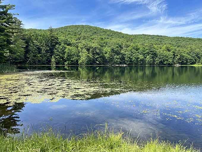 Lily pads dot the glassy lake surface while mountains provide the backdrop for this peaceful wilderness portrait.