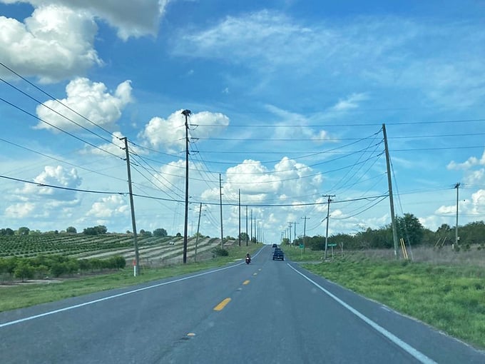 Citrus groves line the road under dramatic clouds, showing where your morning orange juice begins its journey.