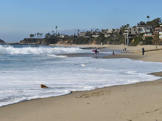 Gentle waves and open sand, the beach equivalent of finding an empty parking spot at Costco.